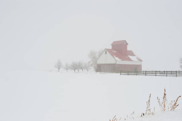 Free Stock Photo of Barn Covered in Snow | Download Free Images and ...