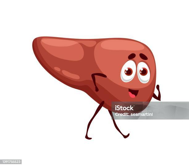 Karakter Hati Kartun Lucu Manusia Organ Yang Sehat Ilustrasi Stok