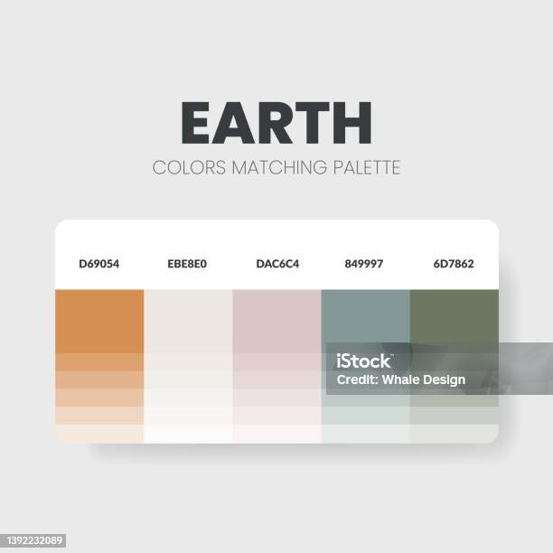 Palet Warna Atau Skema Warna Adalah Kombinasi Tren Dan Panduan Palet