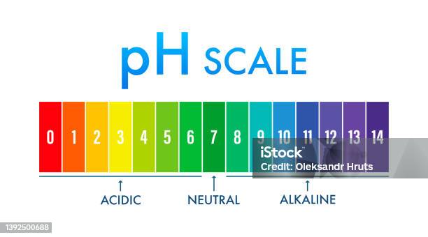 Compteur Déchelle De Valeur De Ph Analyse Du Ph Test De La Valeur De ... Compteur Déchelle De Valeur De Ph Analyse Du Ph Test De La Valeur De ...