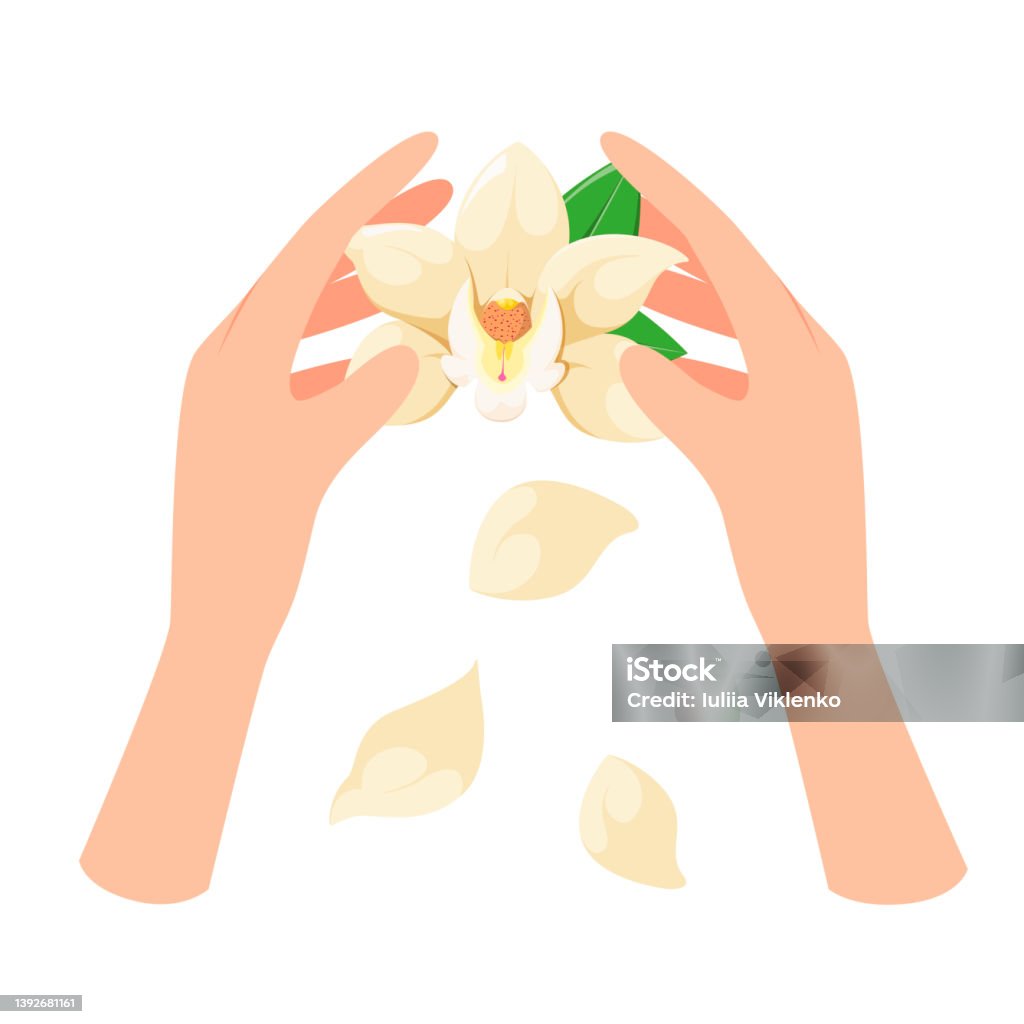 Womens Hands Stock Illustration Download Image Now Adult Adults