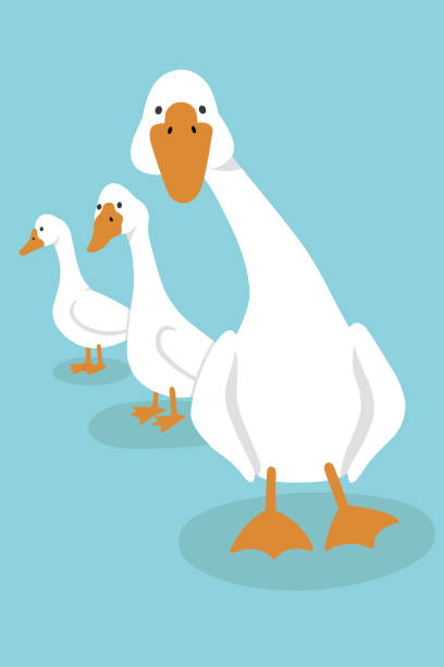 Aflac Duck Clipart Free