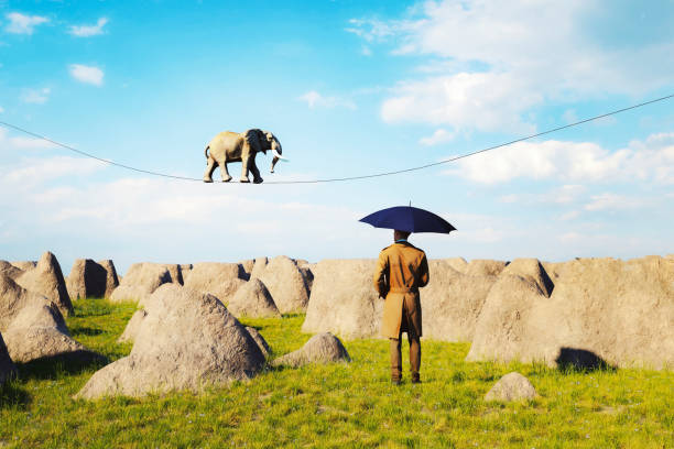 Free Stock Photo of Man Standing on Mountain Next to Elephant ...