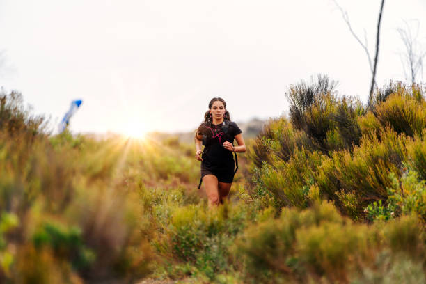 Free Stock Photo of A Trail Running Through a Forest | Download Free ...