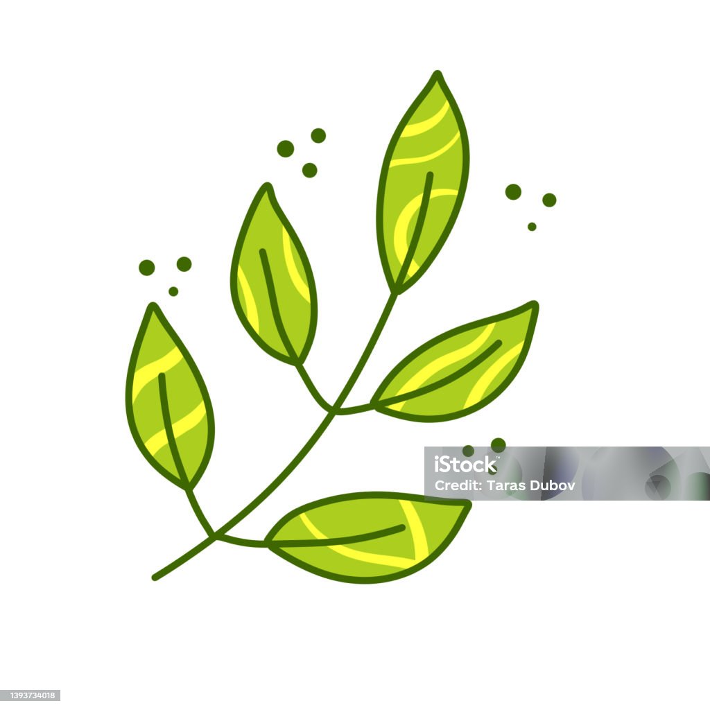 Cabang Dengan Daun Hijau Tanaman Dan Bagian Dari Pohon Ilustrasi Kartun ... Cabang Dengan Daun Hijau Tanaman Dan Bagian Dari Pohon Ilustrasi Kartun ...