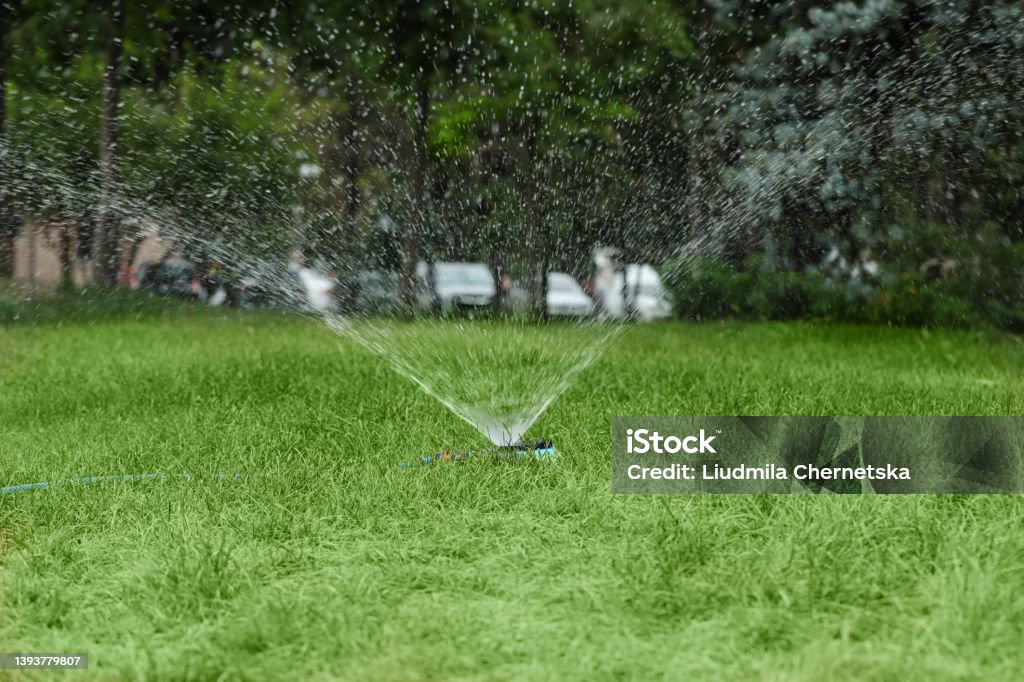 Sprinkler Otomatis Menyiram Rumput Hijau Di Taman Sistem Irigasi Foto