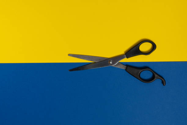 Free Stock Photo of Yellow Work Gloves and Scissors | Download Free ...