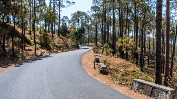 Almora Pictures | Download Free Images on Unsplash
