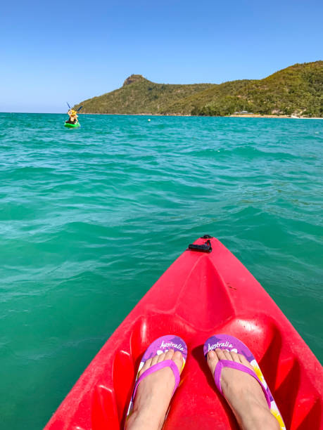 Hamilton Island Pictures | Download Free Images on Unsplash