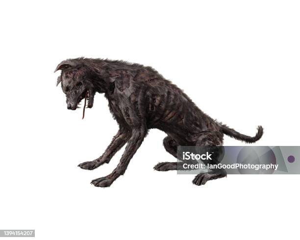 Anjing Zombie Monster Horor Fantasi Duduk Rendering 3d Terisolasi Pada ... Anjing Zombie Monster Horor Fantasi Duduk Rendering 3d Terisolasi Pada ...
