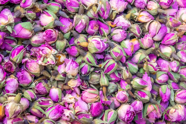 Free Stock Photo of Withered pink roses on a surface | Download Free ...