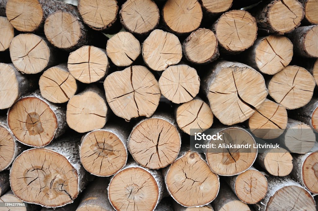 Woodpile Kayu Pinus Potong Segar Di Pabrik Penggergajian Kayu Tumpukan ... Woodpile Kayu Pinus Potong Segar Di Pabrik Penggergajian Kayu Tumpukan ...