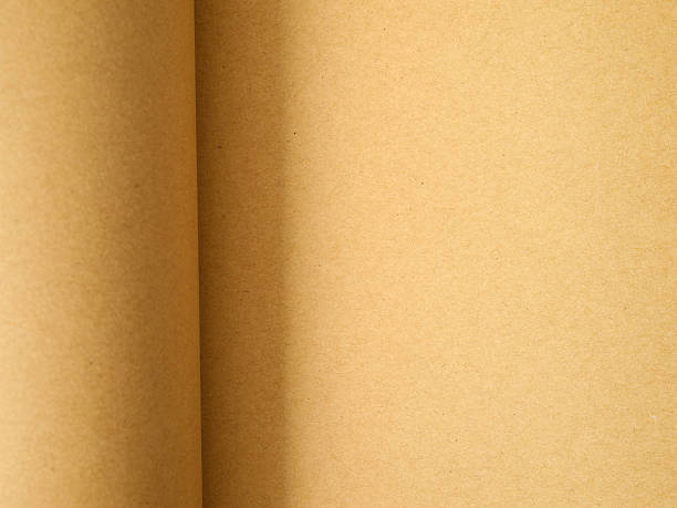 Free picture: A yellowish brown cardboard roll, a light brown carton ...