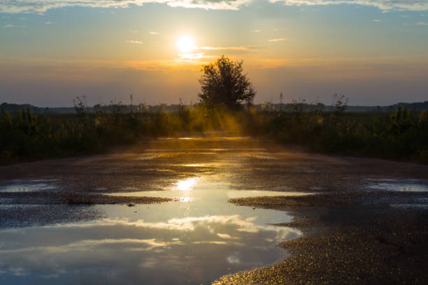 Rain Puddle Pictures | Download Free Images on Unsplash