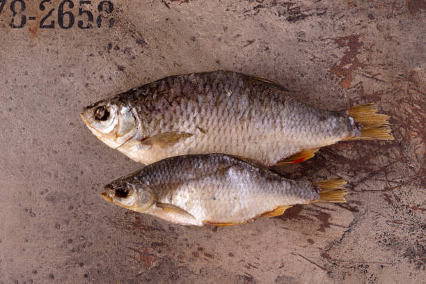 Dry Fish Pictures | Download Free Images on Unsplash