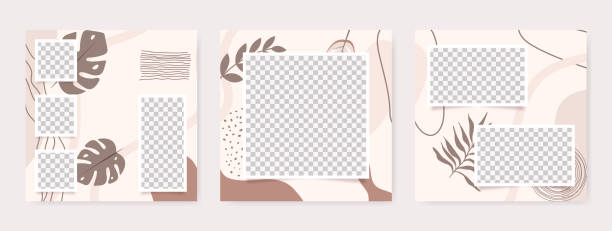 Social Media Page Border