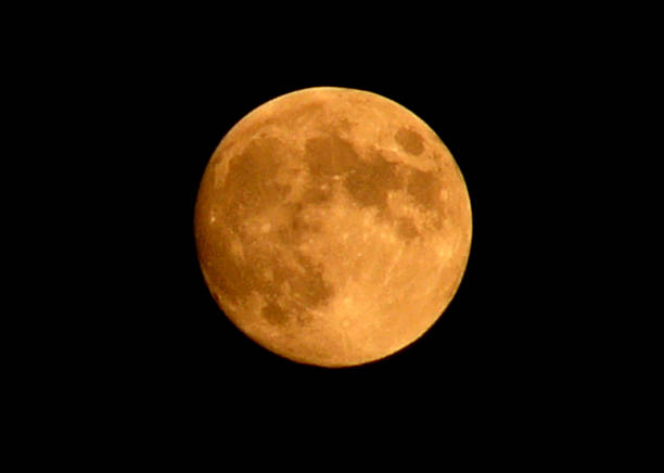 Harvest Moon Pictures | Download Free Images on Unsplash