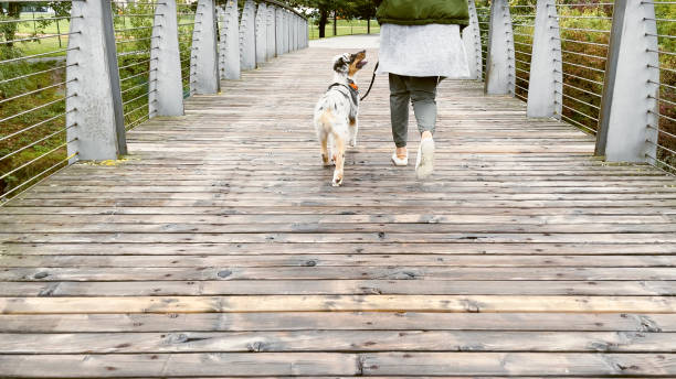 Free Stock Photo of Two children walking with a dog on a bridge ...