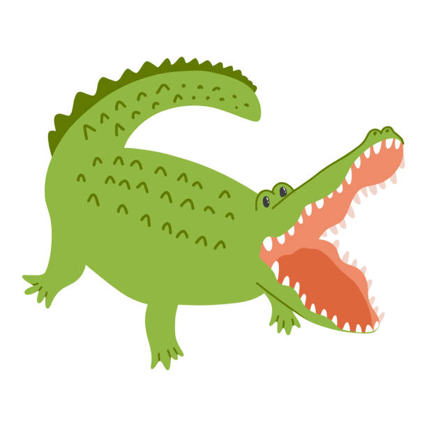 Animated Alligator With Mouth Open