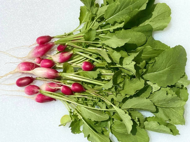 Free Stock Photo of Fresh organic radishes bunch with greens | Download ...