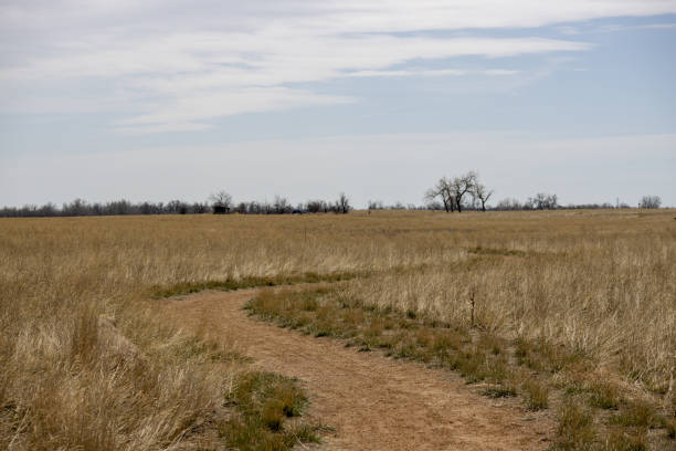 Free Stock Photo of Path Cutting Through Dry Grass Field | Download ...