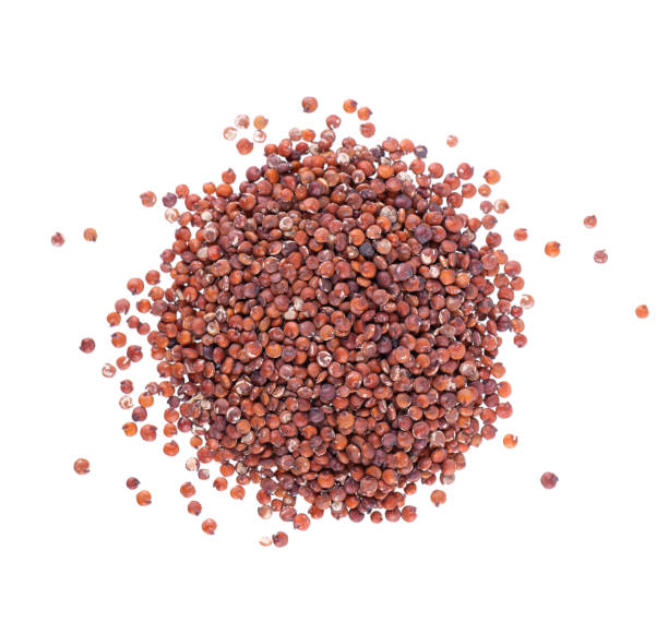 Free Stock Photo of quinoa grain on a white background | Download Free ...