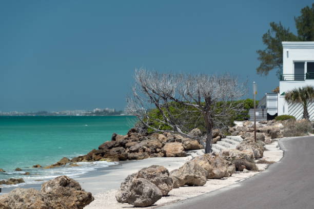 Florida Casey Key Beach - Free photo on Pixabay