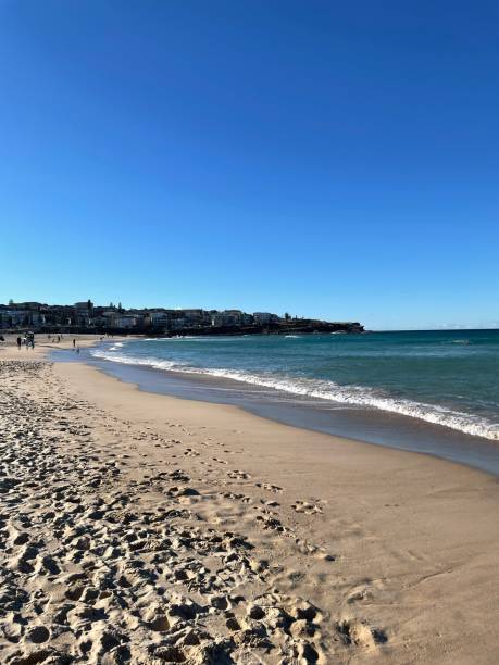 Coogee Beach Pictures | Download Free Images on Unsplash