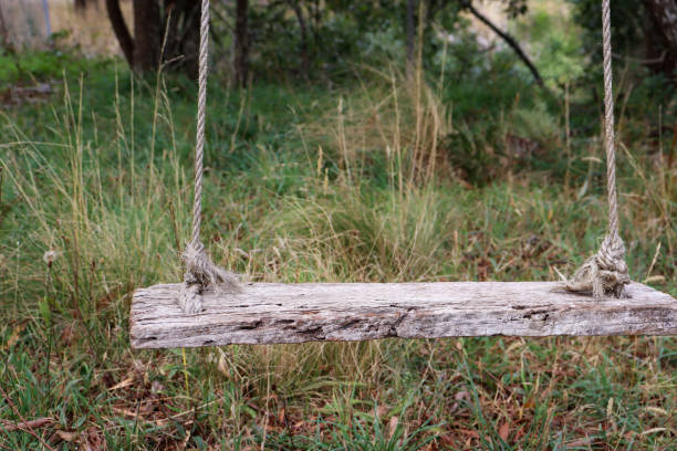 Free picture: Wooden rustic swing on rust cast iron chain close-up