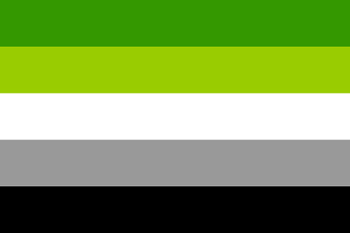 Aromantic Pride Flag Vector Illustration Lgbt Community Bright Concept