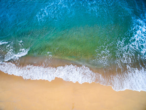Wet Sand Pictures | Download Free Images on Unsplash