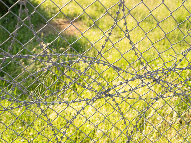 Free picture: Razor barbed wire on fence of backyard industrial facility