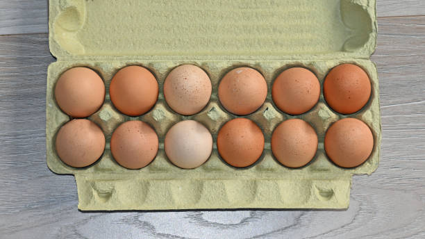 Free dozen eggs stock photos. Download the best free dozen eggs images ...