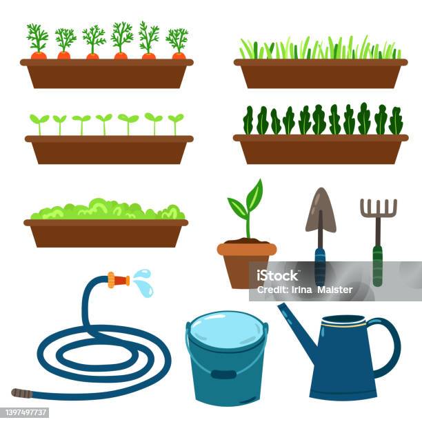 Ensemble Doutils De Jardinage Et De Semis Vecteurs Libres De Droits Et