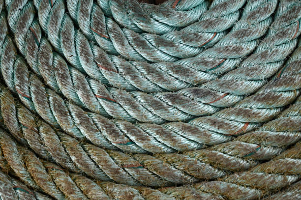 Corde Pictures | Download Free Images on Unsplash