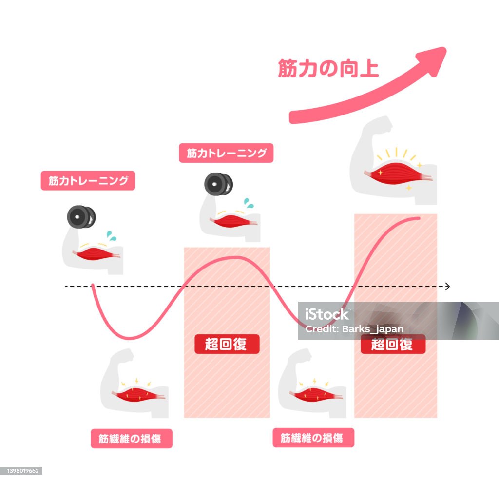 Illustration Graphique De La Croissance Musculaire Efficace Japonais Vecteurs Libres De Droits