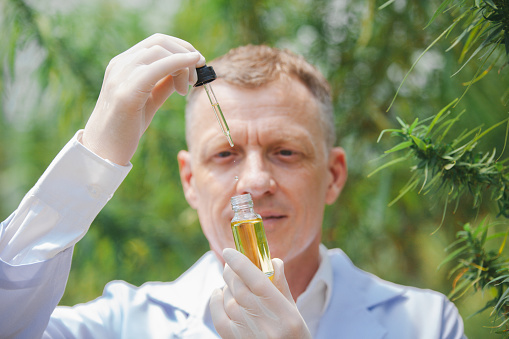 Ilmuwan Memegang Botol Minyak Cannabis Dalam Pipet Produk Rami Konsep ... Ilmuwan Memegang Botol Minyak Cannabis Dalam Pipet Produk Rami Konsep ...