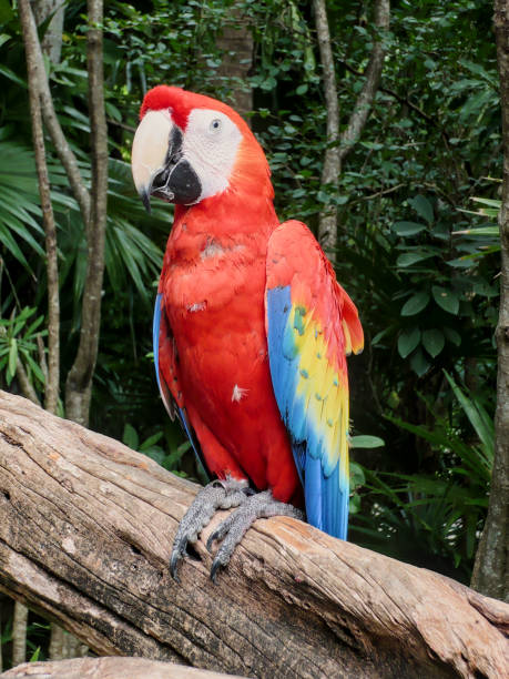 Colores De La Naturaleza Pictures | Download Free Images on Unsplash