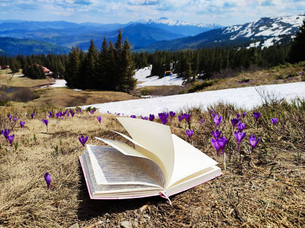 Free Stock Photo of Open Book Revealing Landscape | Download Free ...