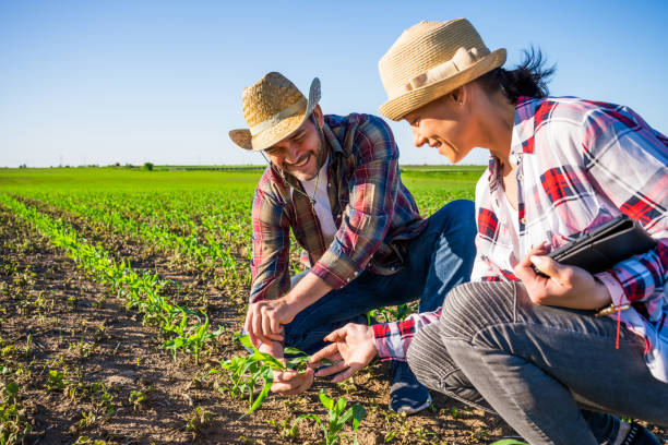500+ Agriculture Pictures | Download Free Images on Unsplash