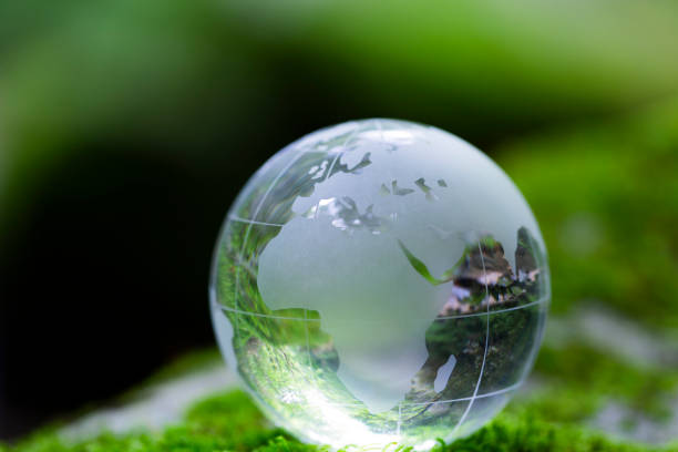 Free Stock Photo of Transparent globe with plant inside | Download Free ...