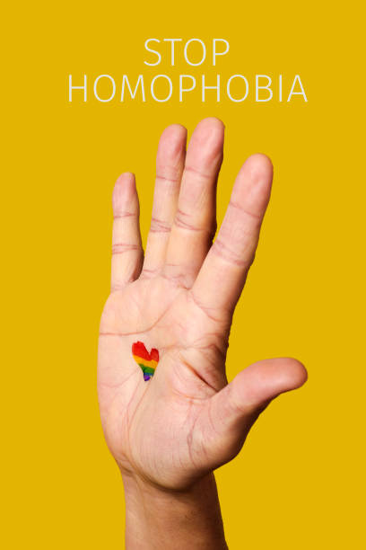 Day Against Homophobia Pictures | Download Free Images on Unsplash