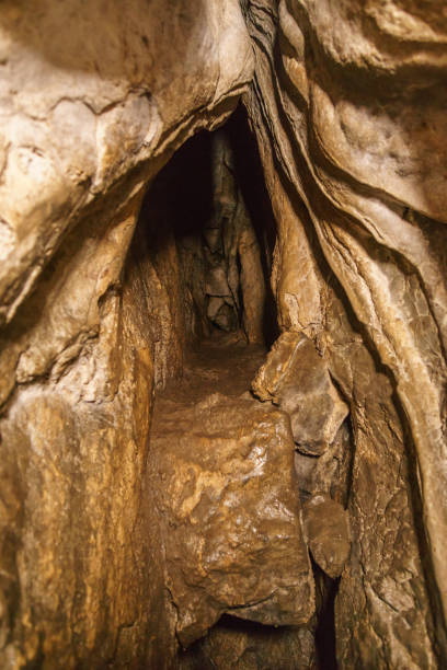 Deep Rock Crevice in the Forest – Free Nature Stock