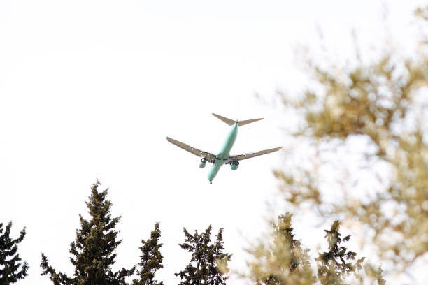 Free Stock Photo of Airplane Flying Over Park With Trees | Download ...