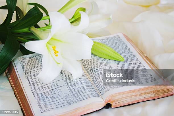 Lily Paskah Dan Alkitab Foto Stok Unduh Gambar Sekarang Paskah