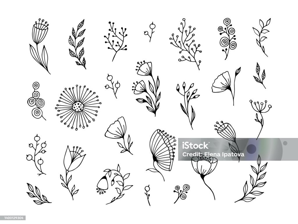 Set Of Handdrawn Flower And Branches Doodle Stock Illustration