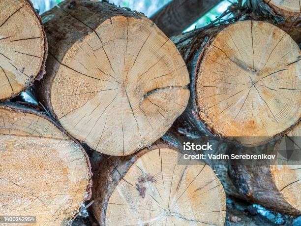 Kayu Bakar Gergajian Ditumpuk Di Tumpukan Kayu Tumpukan Kayu ... Kayu Bakar Gergajian Ditumpuk Di Tumpukan Kayu Tumpukan Kayu ...