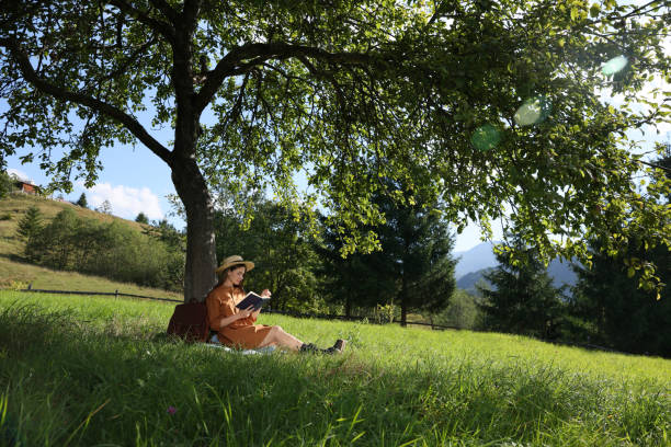 Free picture: Beautiful woman sits under a tree and reading her book at ...