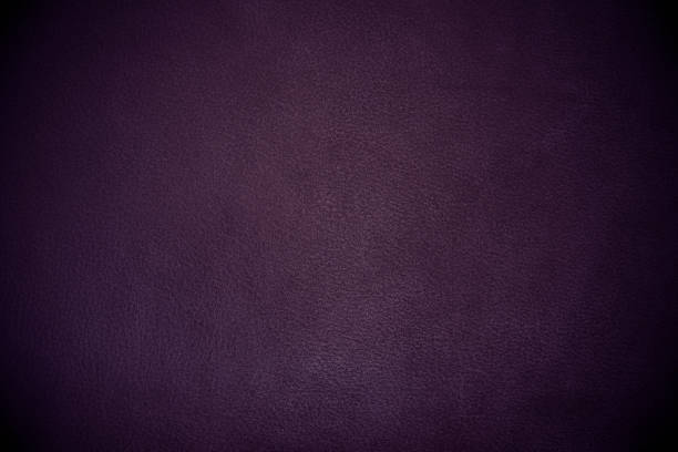 Dunkel Pictures | Download Free Images on Unsplash
