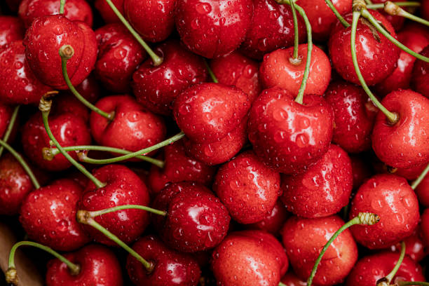 100+ Cherry Pictures | Download Free Images on Unsplash
